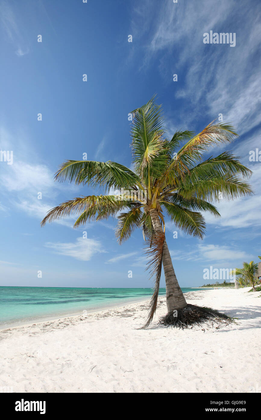 Body sloping hi-res stock photography and images - Alamy