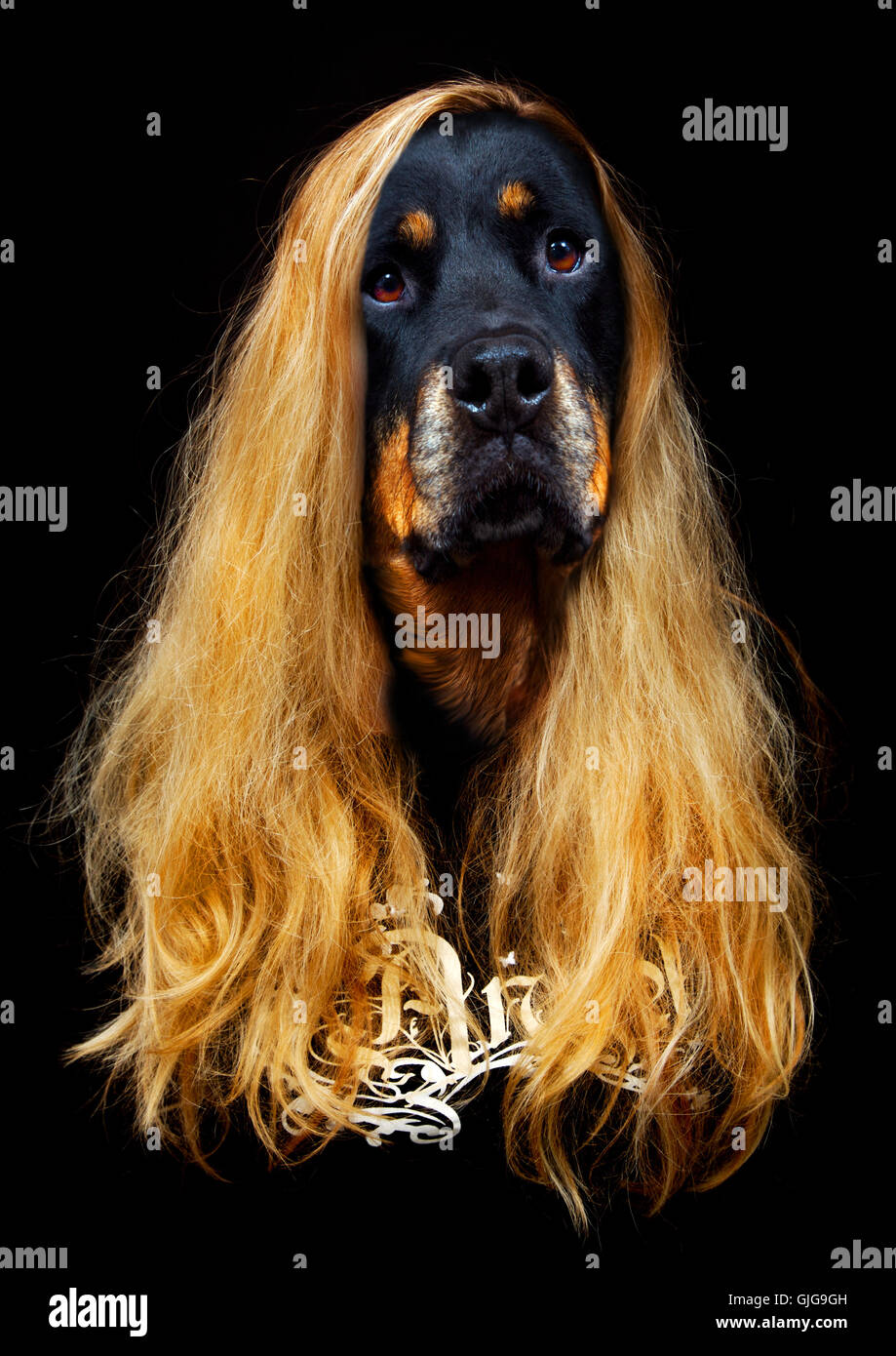 mouth teeth face Stock Photo - Alamy