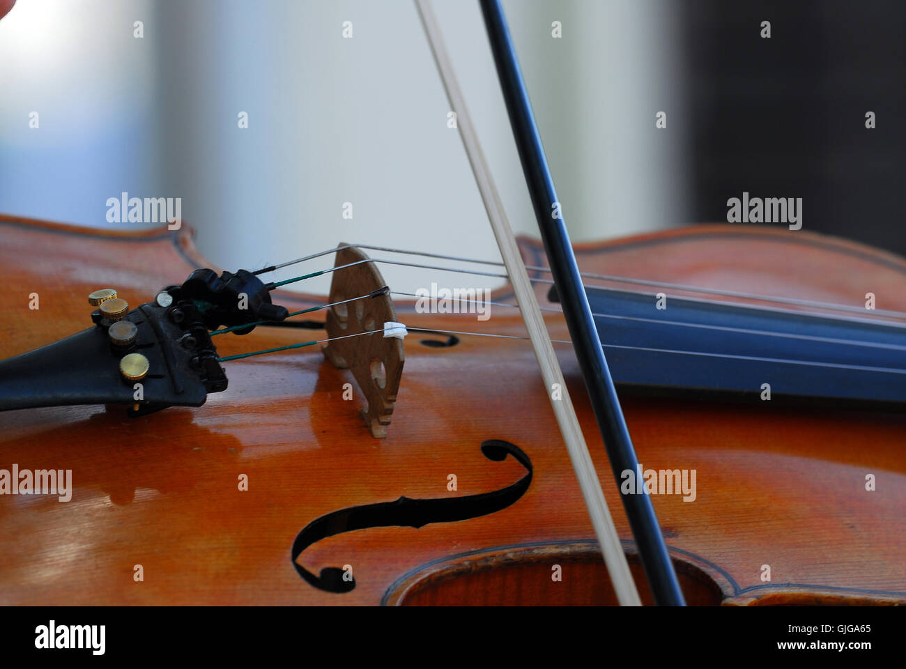 musical instrument musical instruments strings Stock Photo - Alamy