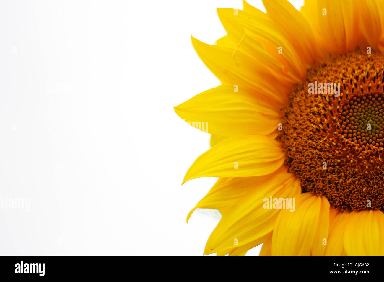 Eco environment enviroment summer hi-res stock photography and images ...