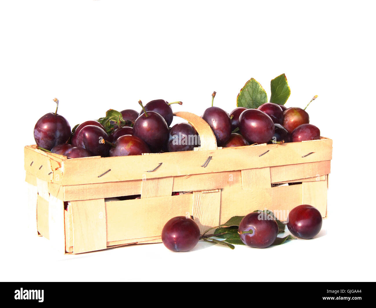 September plum hi-res stock photography and images - Alamy
