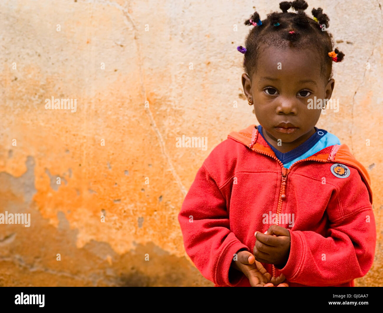 Portrait of dear hi-res stock photography and images - Alamy