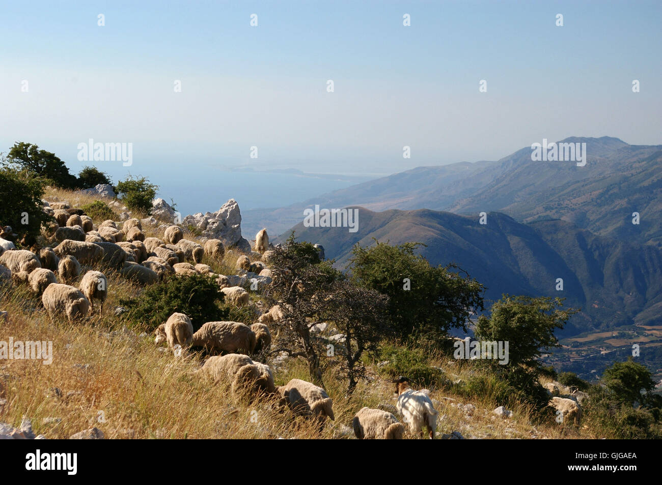 mountains national park agriculture Stock Photo - Alamy