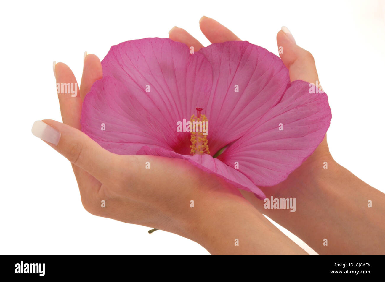 hand hands beautiful Stock Photo - Alamy