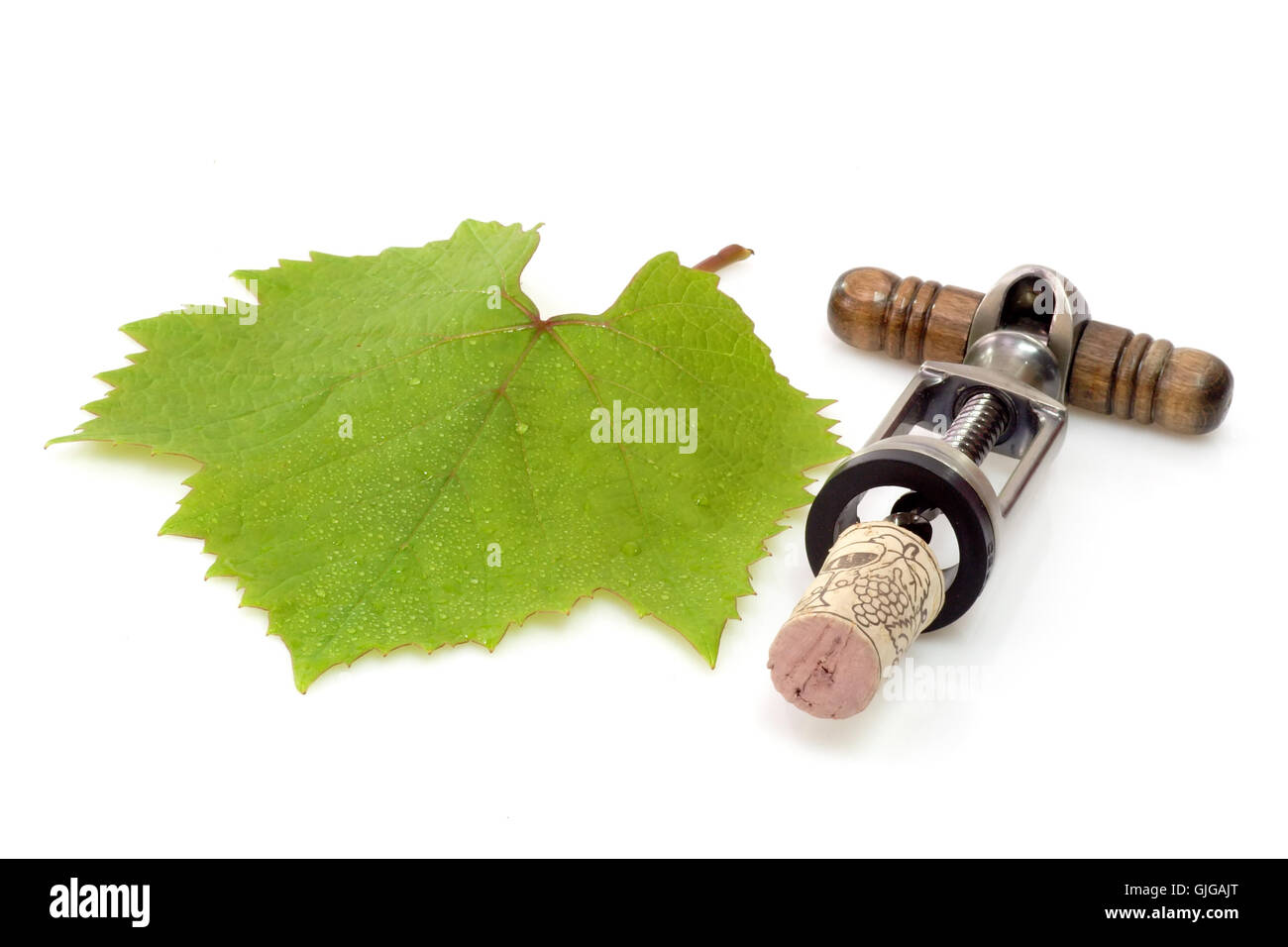 leaf wet cork Stock Photo - Alamy