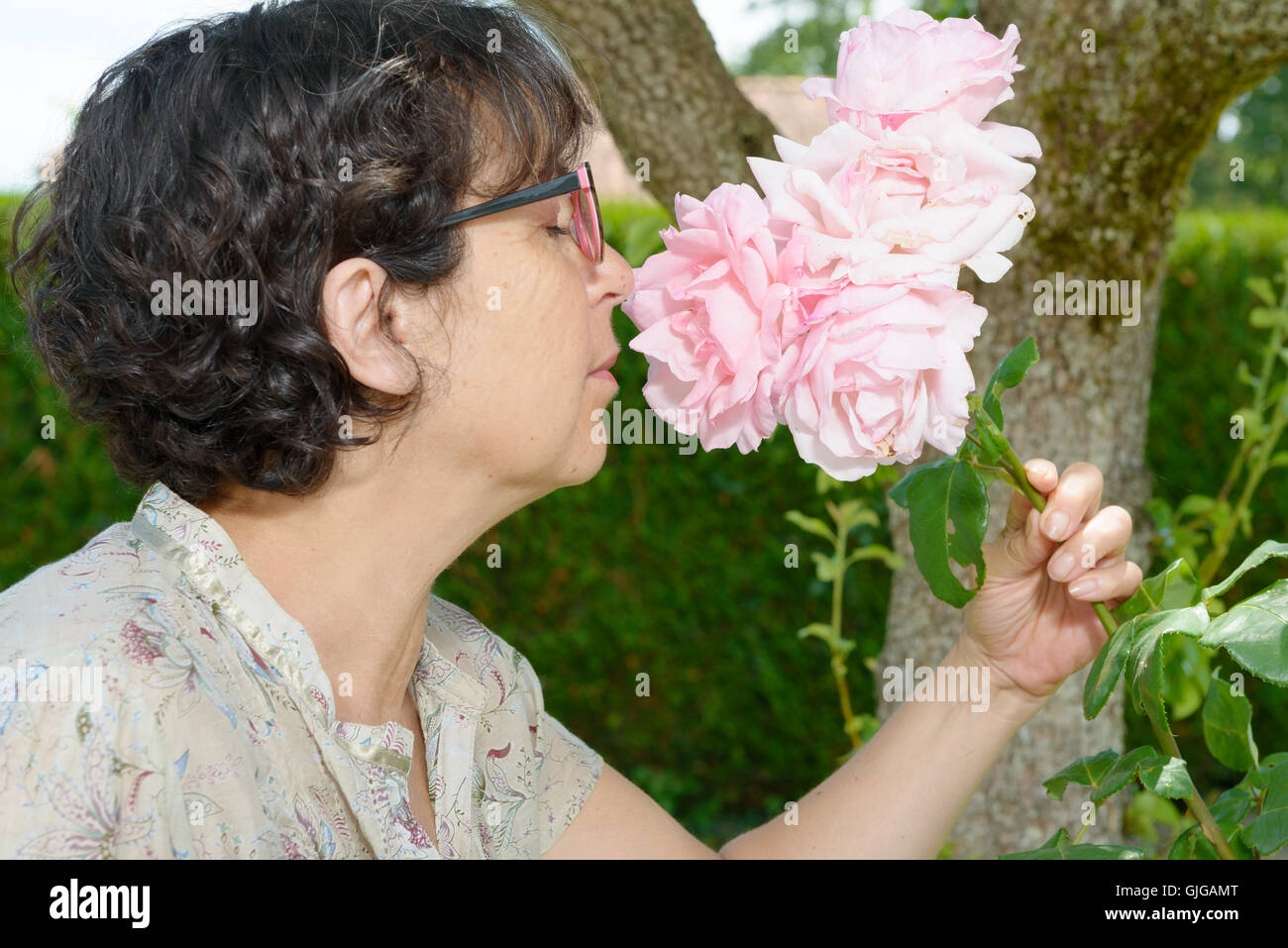 a mature woman smelling the rose of her garden Stock Photo - Alamy