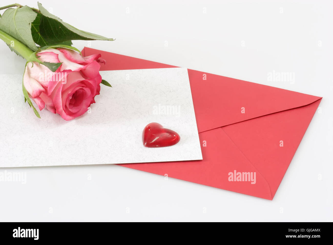 feeling flower rose Stock Photo - Alamy