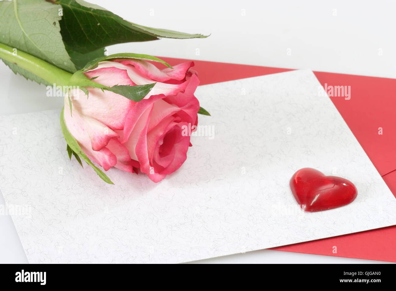 feeling flower rose Stock Photo - Alamy