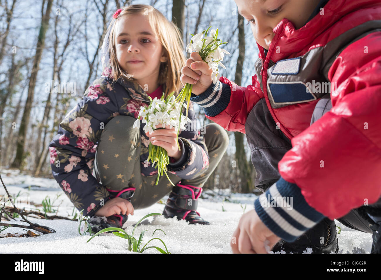 Boy and girl picking flowers of spring Stock Photo - Alamy