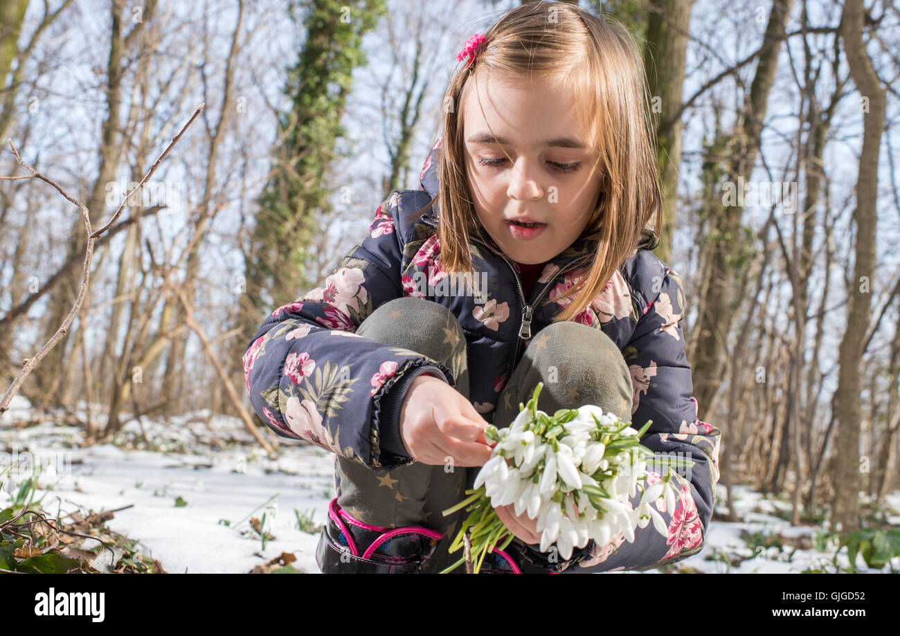 Little girl picking flowers of spring Stock Photo - Alamy