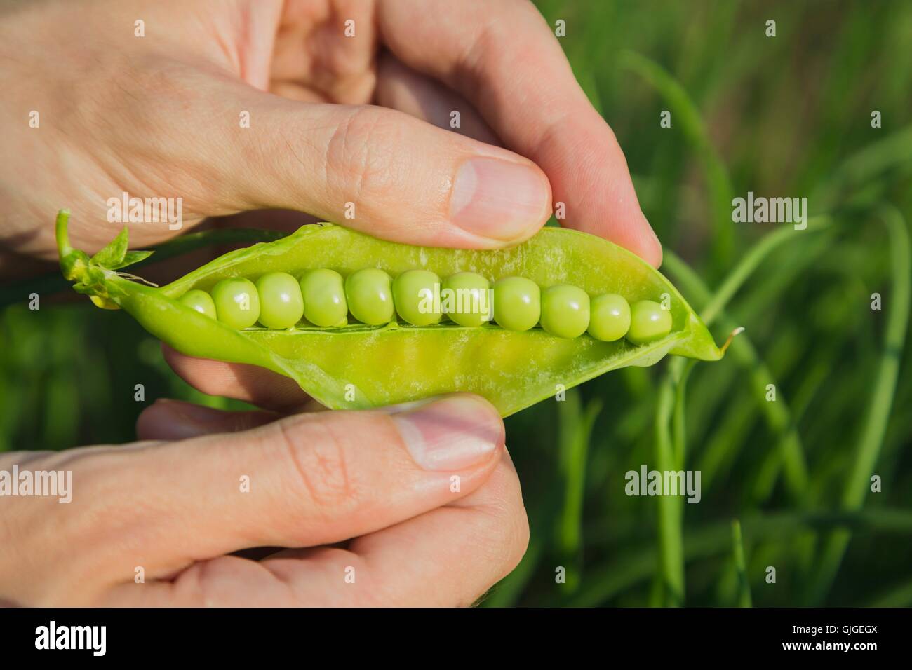 Cracking fingers child hi-res stock photography and images - Alamy