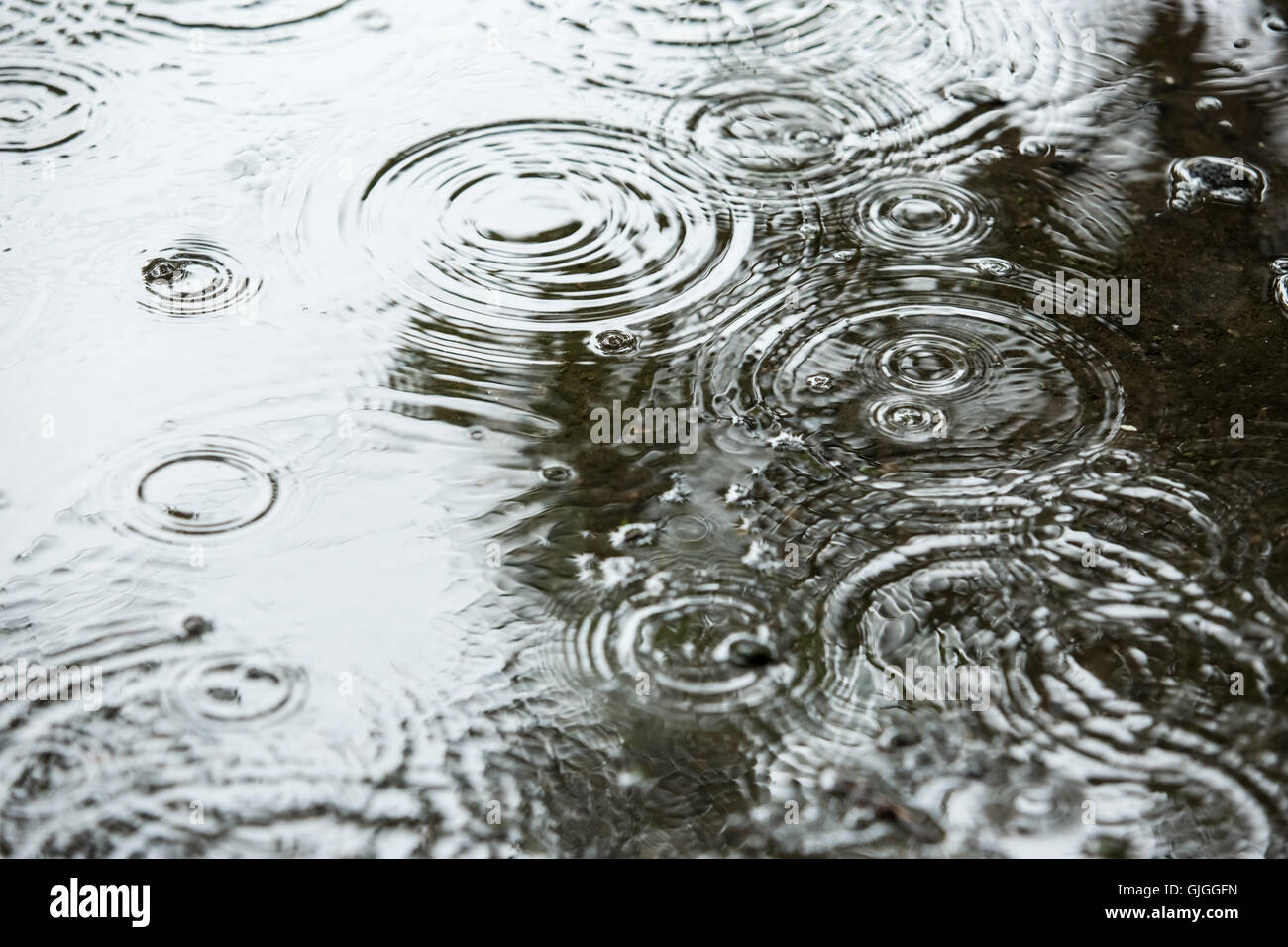 Beautiful backgrounds with falling water drops in a puddle in the rain ...