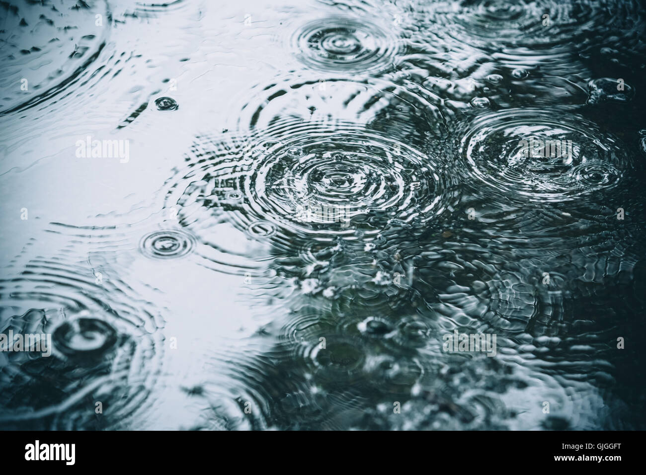 Beautiful backgrounds with falling water drops in a puddle in the rain ...