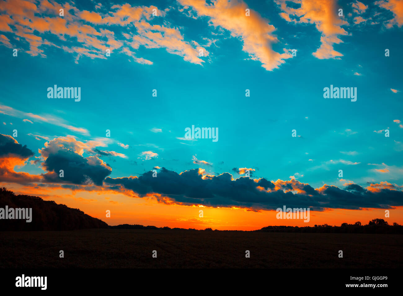 Beautiful blazing sunset landscape at over the meadow and orange sky ...