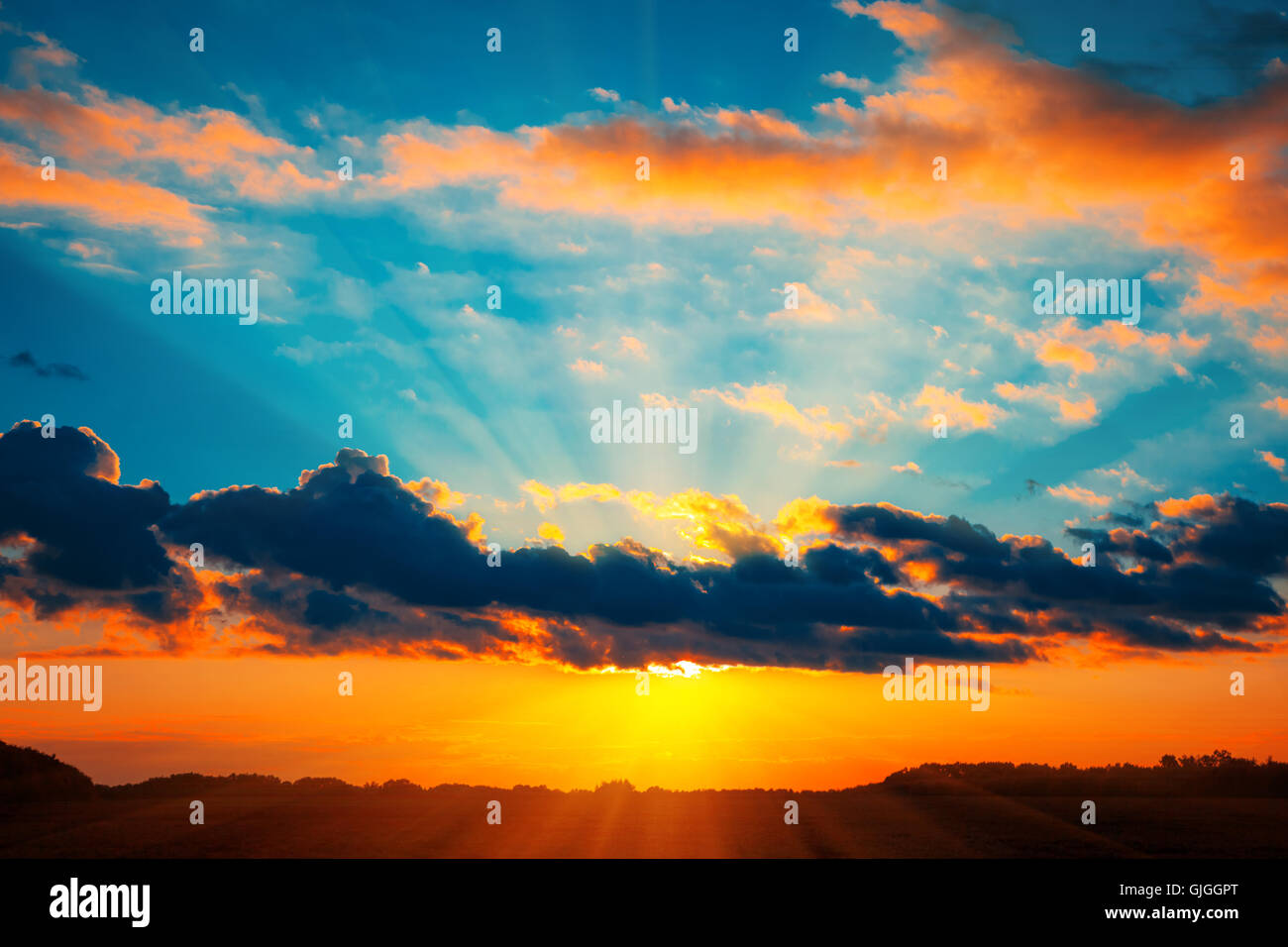 Beautiful blazing sunset landscape at over the meadow and orange sky ...