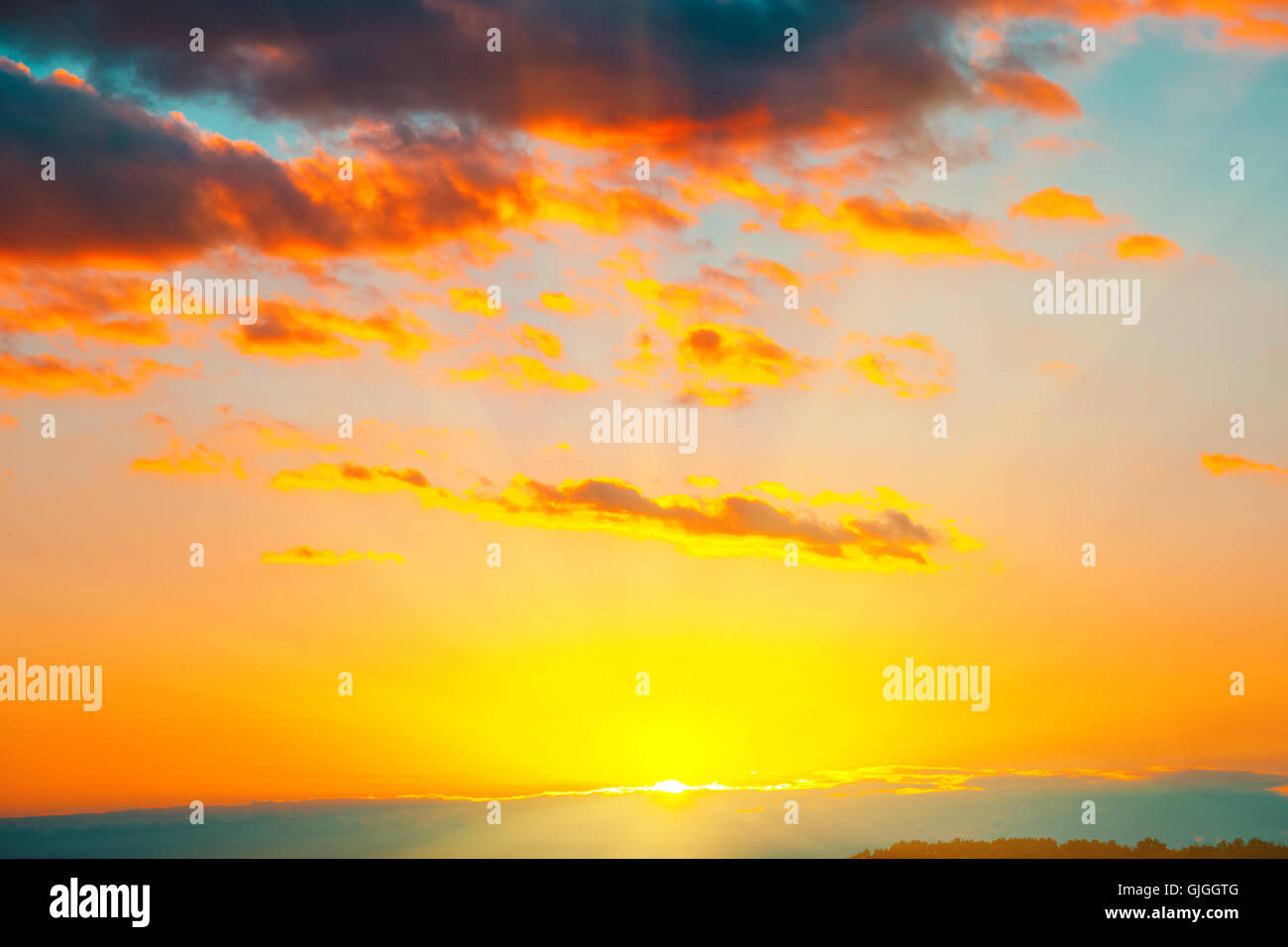 Beautiful blazing sunset landscape at over the meadow and orange sky ...