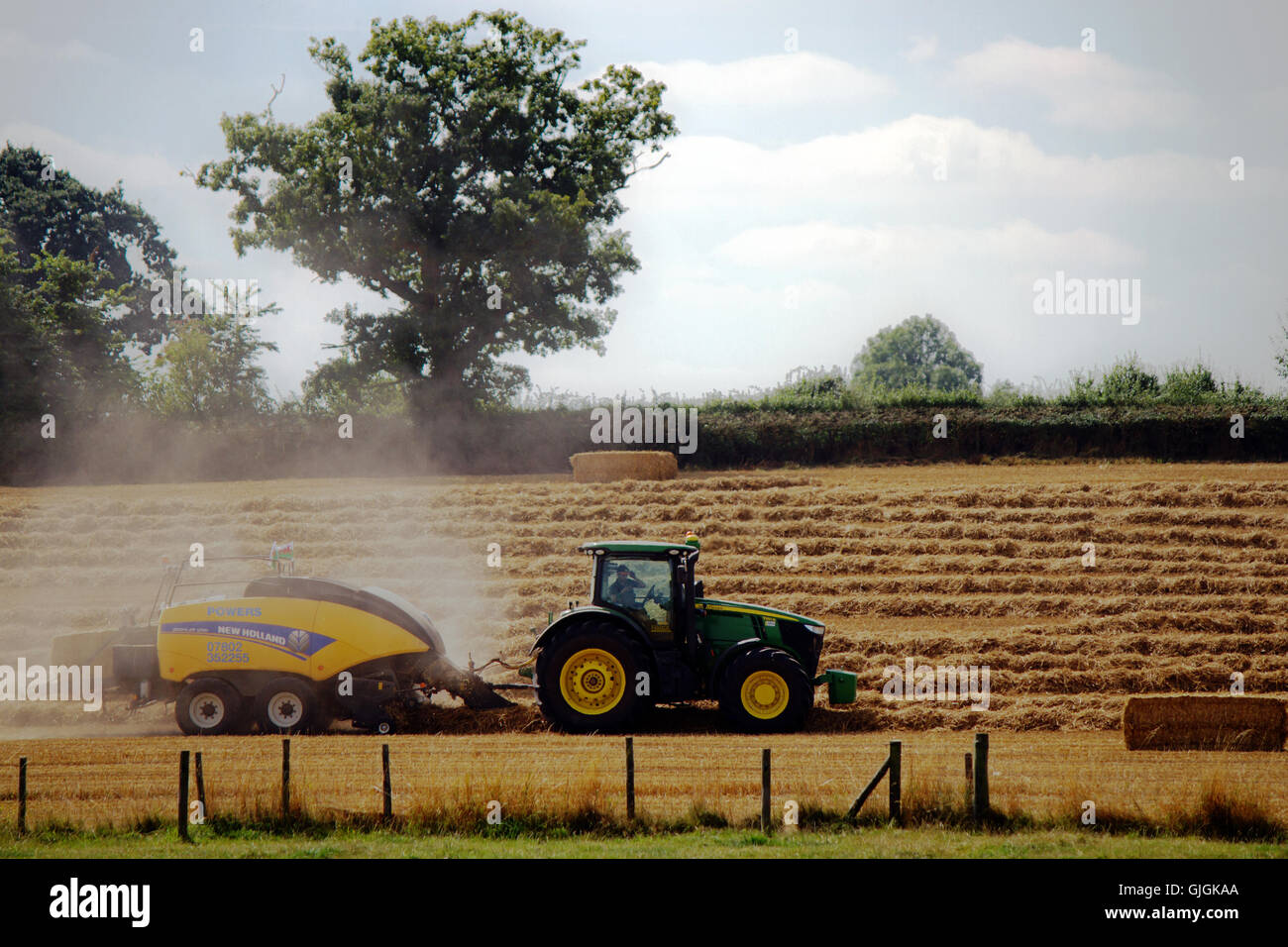 Bail Hay Straw Agriculture High Resolution Stock Photography and Images ...