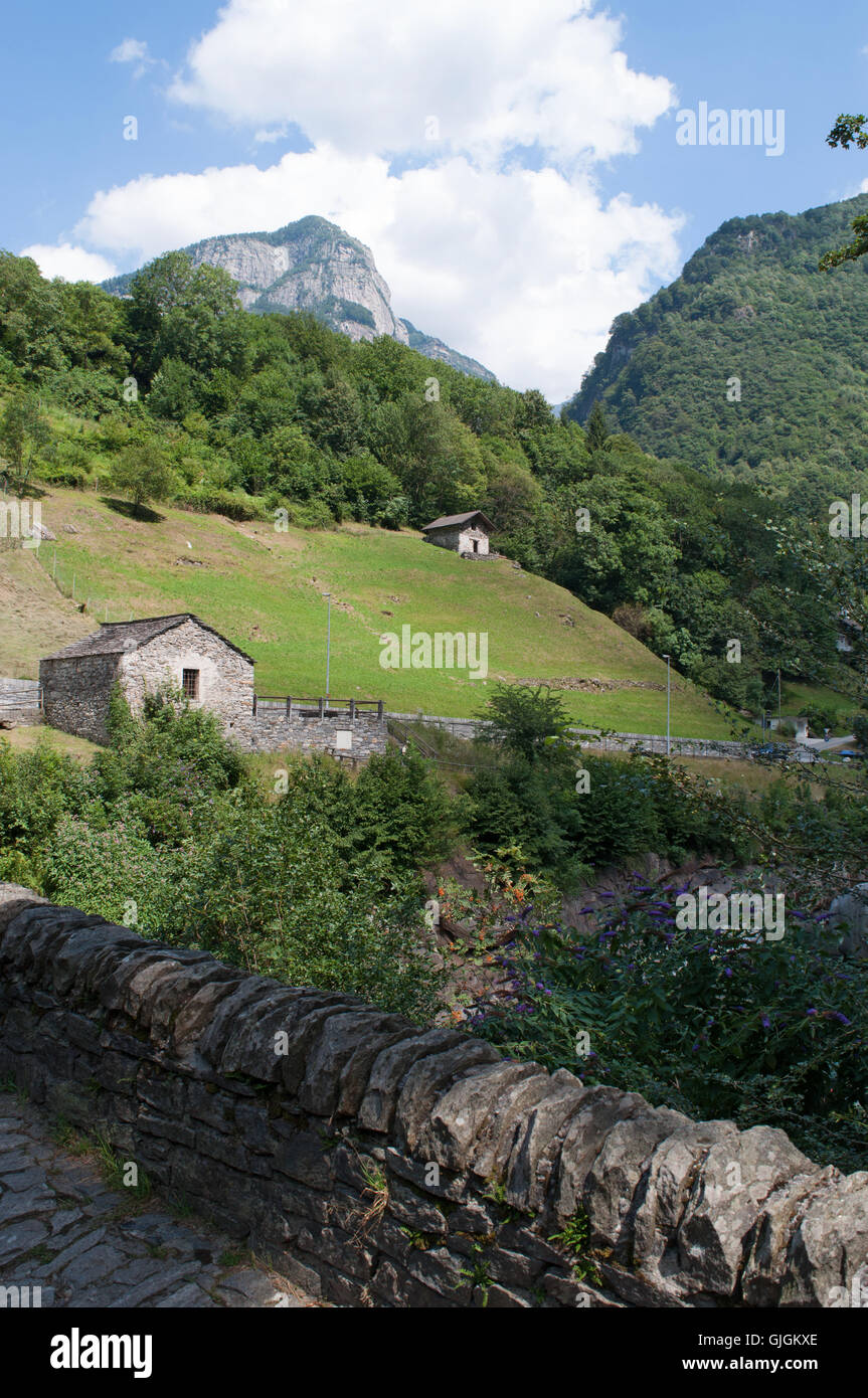 Switzerland, Europe: view of a cabin in a green meadow in Lavertezzo ...