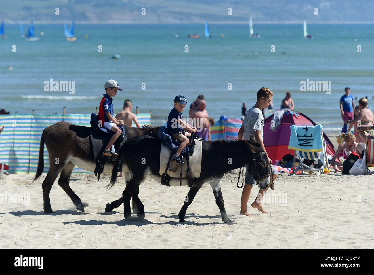 Weymouth donkey hi-res stock photography and images - Alamy