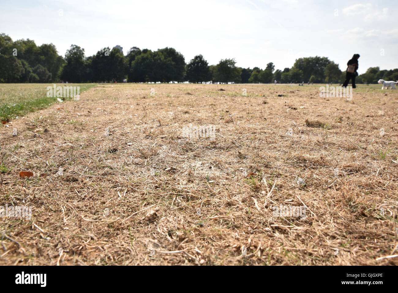 Absolute drought hi-res stock photography and images - Alamy