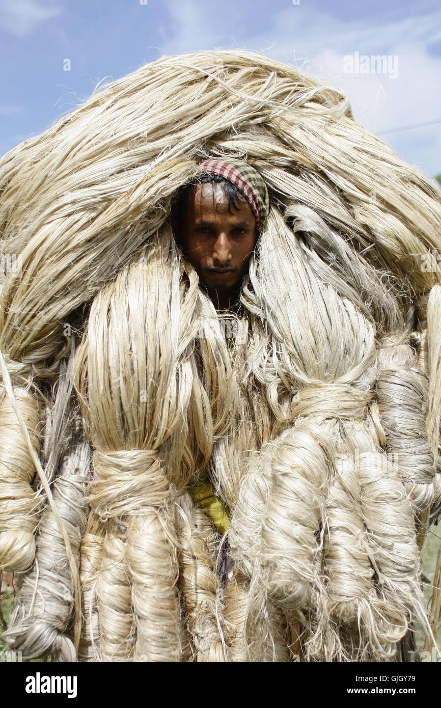 Retting jute hi-res stock photography and images - Alamy