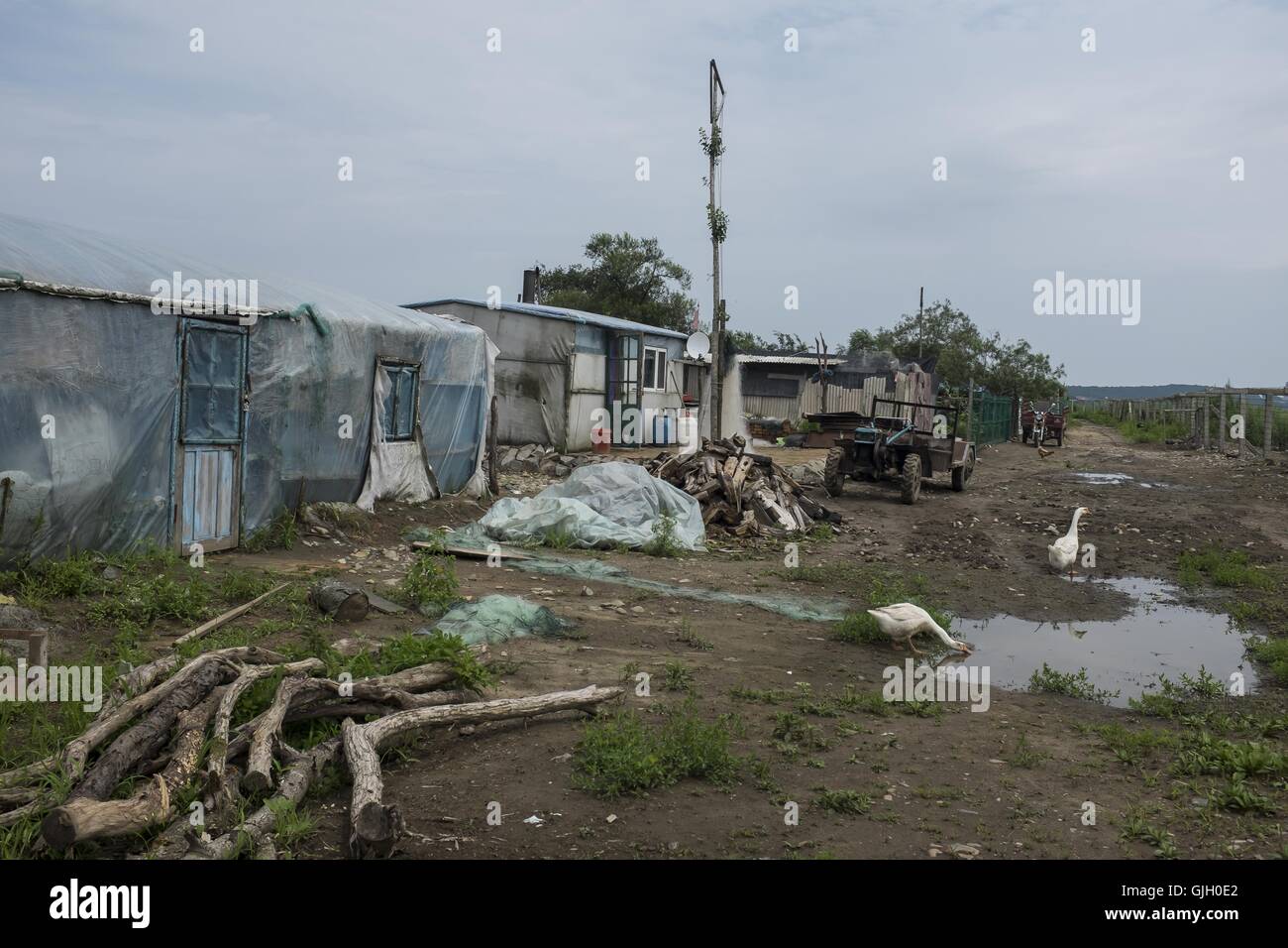 Hunchun, Jilin Province, China. 1st Aug, 2016. A tiny fishing village ...