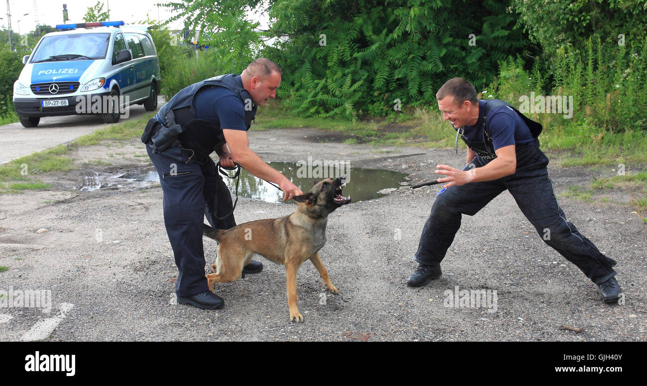 Magdeburg, Germany. 14th July, 2016. Sven Scharfenberger, police dog ...