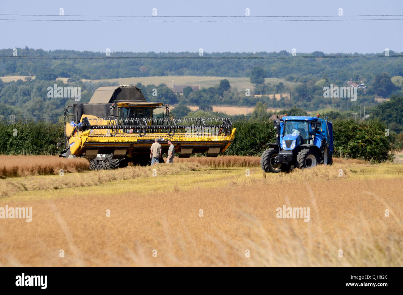 Bulphan essex uk 17th august hi-res stock photography and images - Alamy