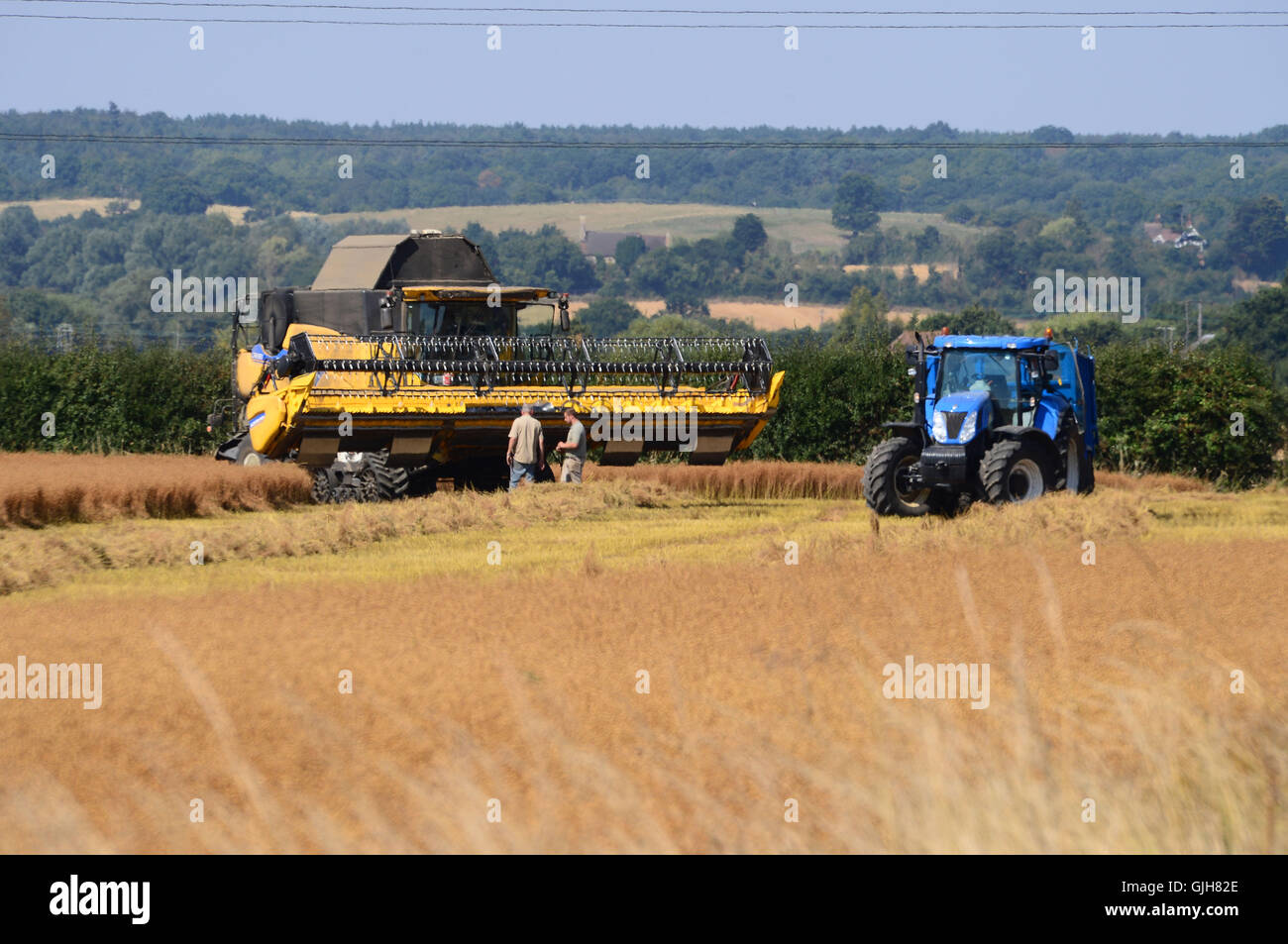 Bulphan essex uk 17th august hi-res stock photography and images - Alamy