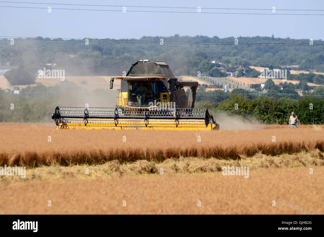 Bulphan essex uk 17th august hi-res stock photography and images - Alamy