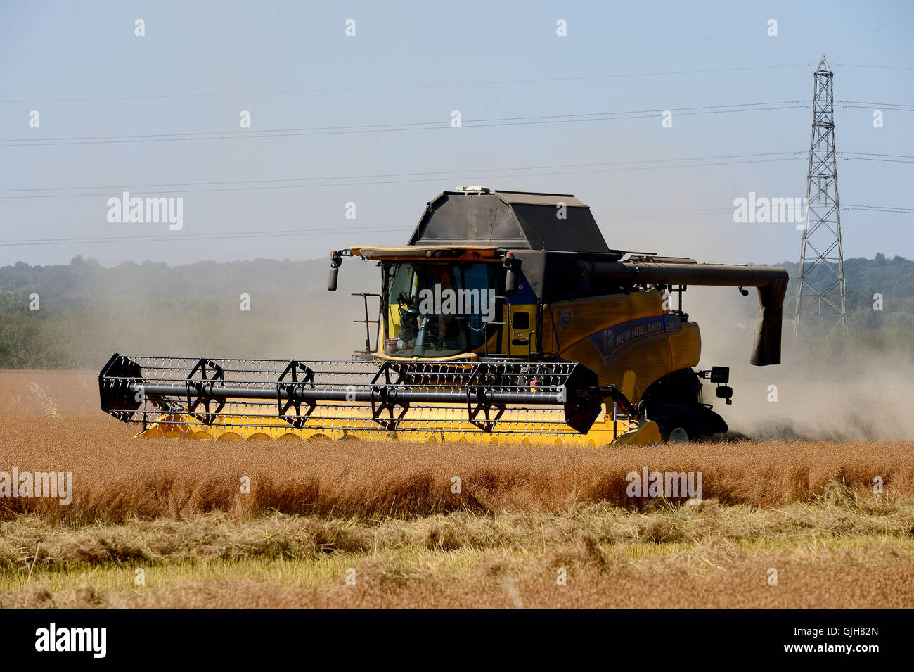 Bulphan essex uk 17th august hi-res stock photography and images - Alamy