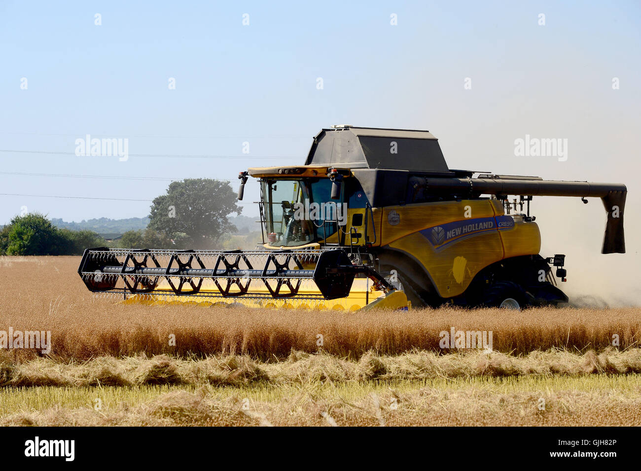 Bulphan essex uk 17th august hi-res stock photography and images - Alamy