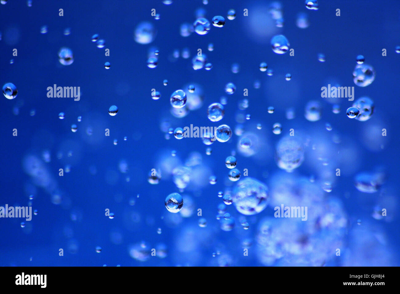 blue macro close-up Stock Photo - Alamy
