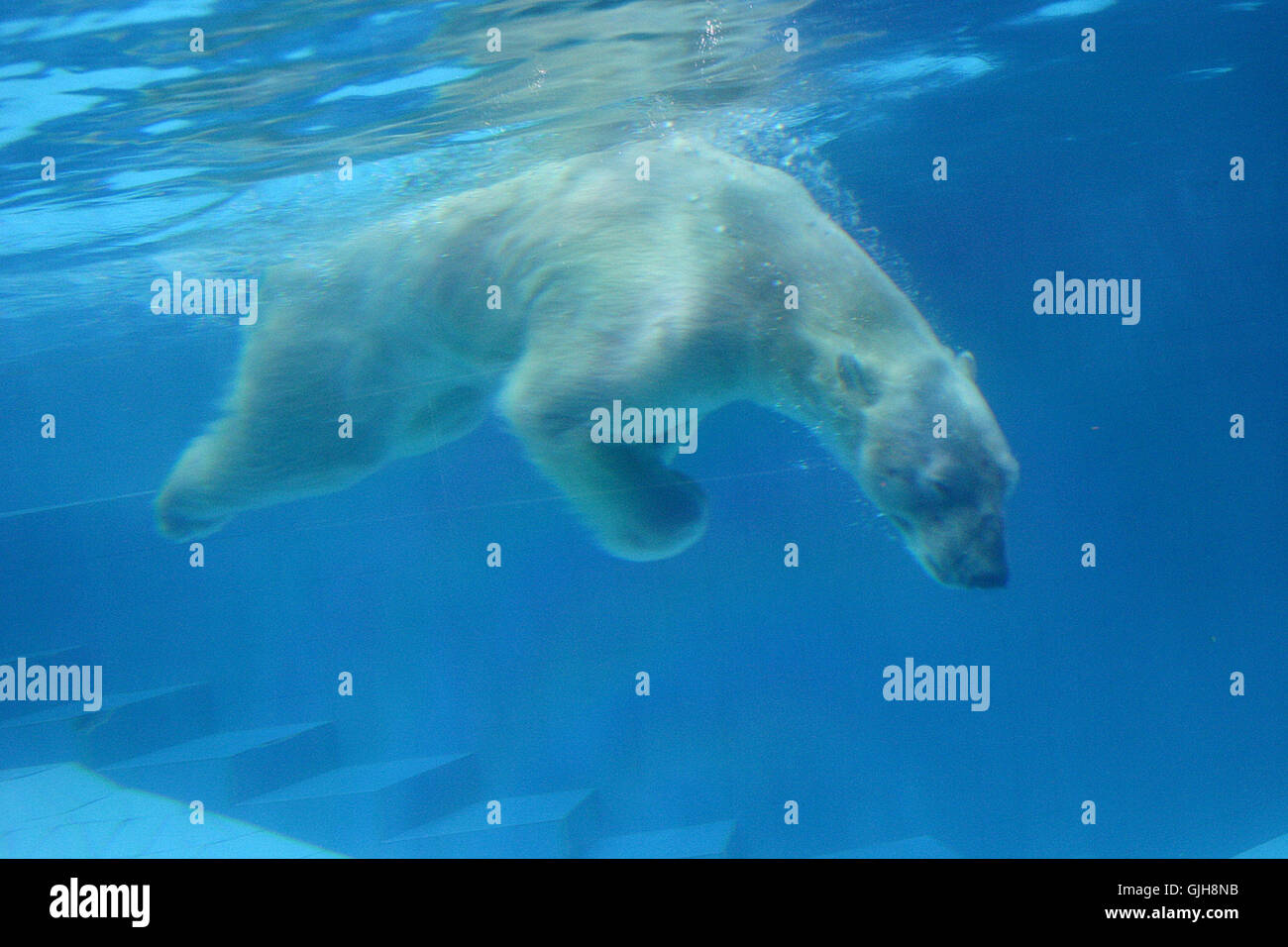Face submerged hi-res stock photography and images - Alamy