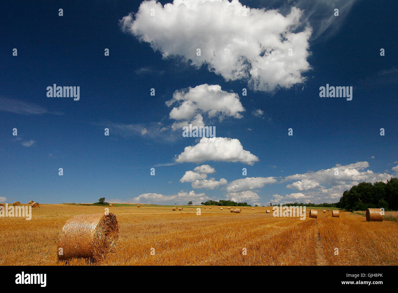 blue agriculture farming Stock Photo - Alamy