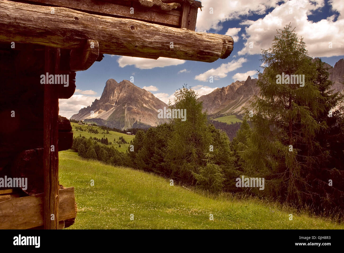 More geisler hi-res stock photography and images - Alamy