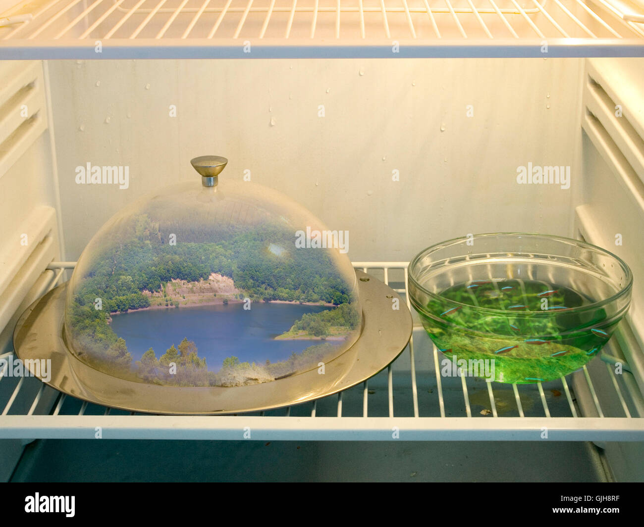 Future trees hi-res stock photography and images - Alamy