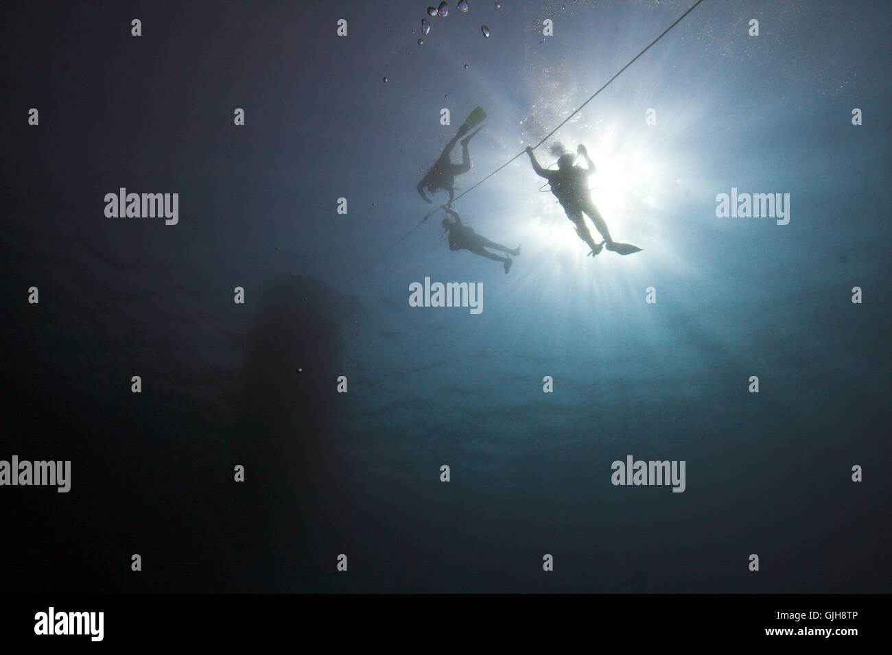 blue sport sports Stock Photo - Alamy