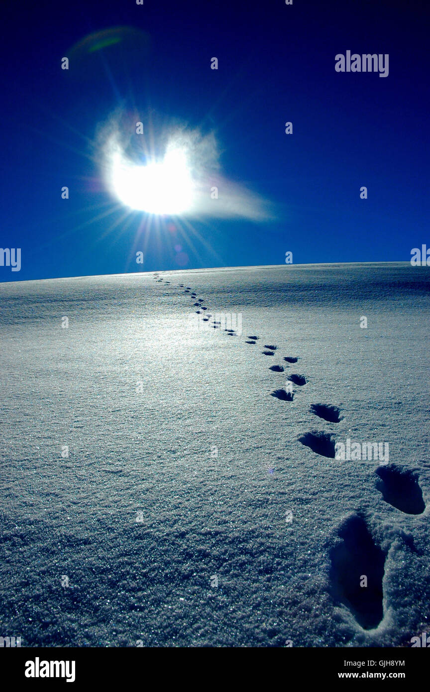 blue walk go Stock Photo - Alamy