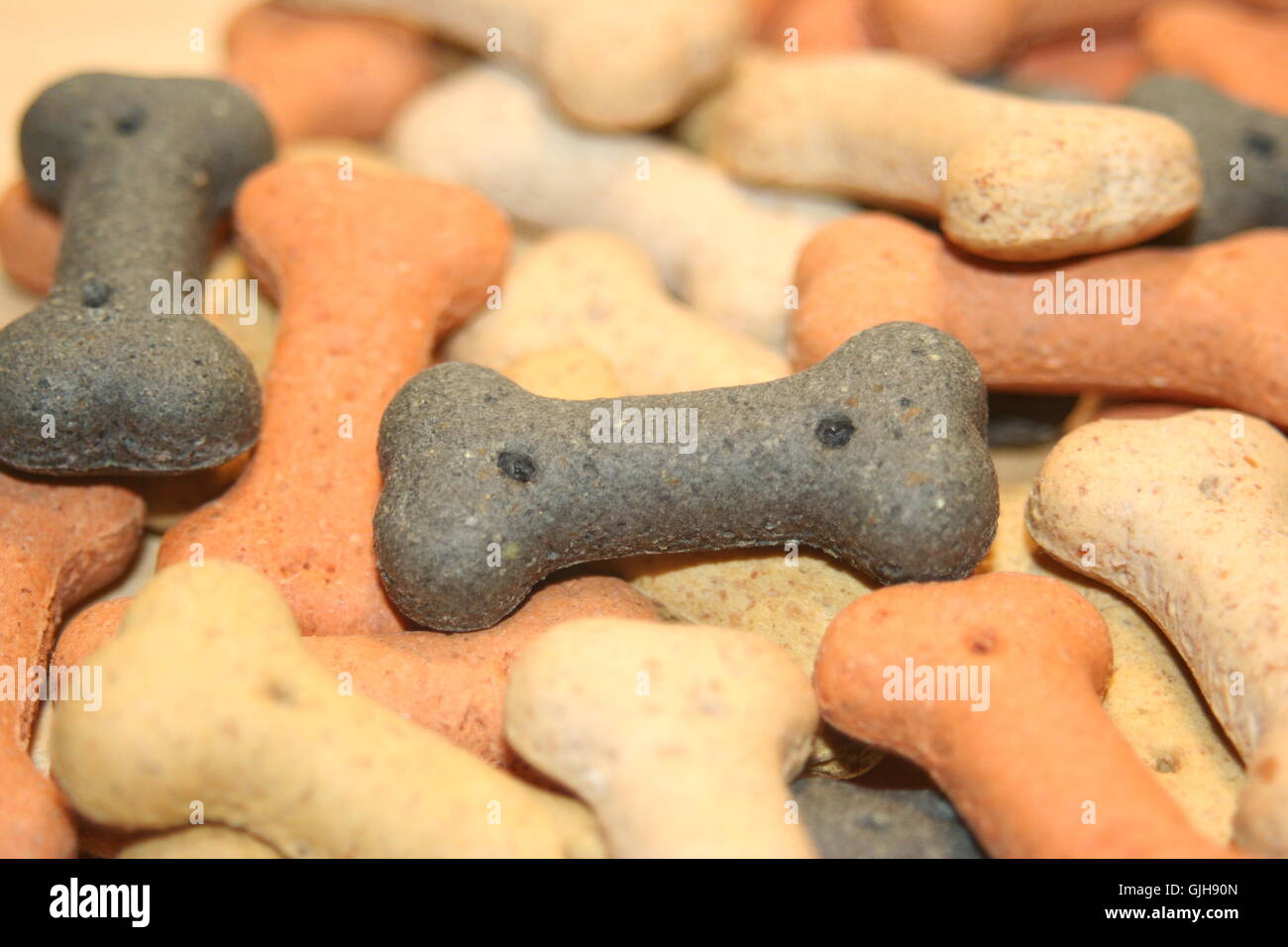 fodder dog dog bowl Stock Photo - Alamy