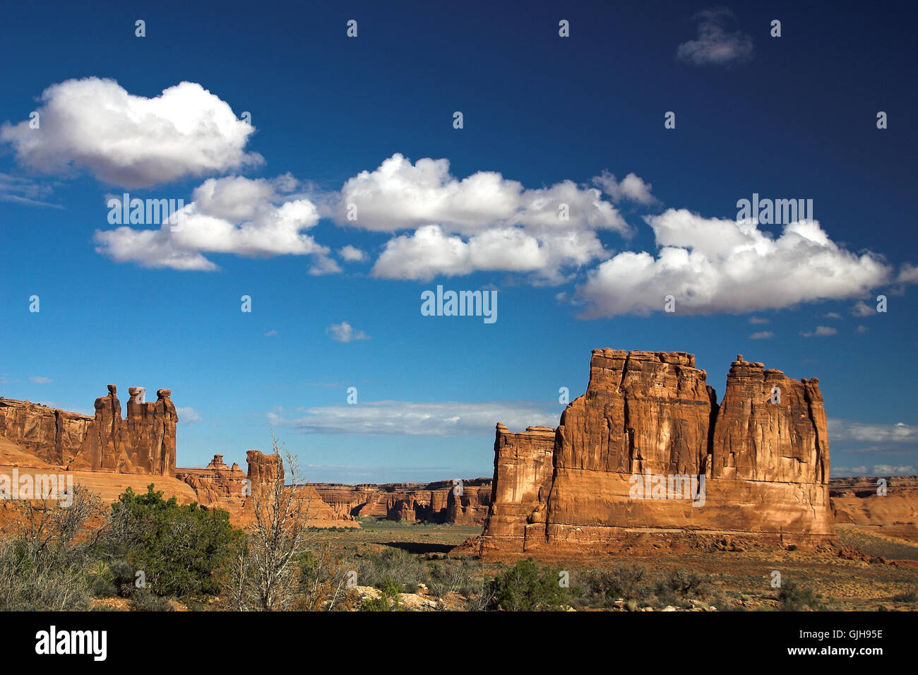 big large enormous Stock Photo - Alamy