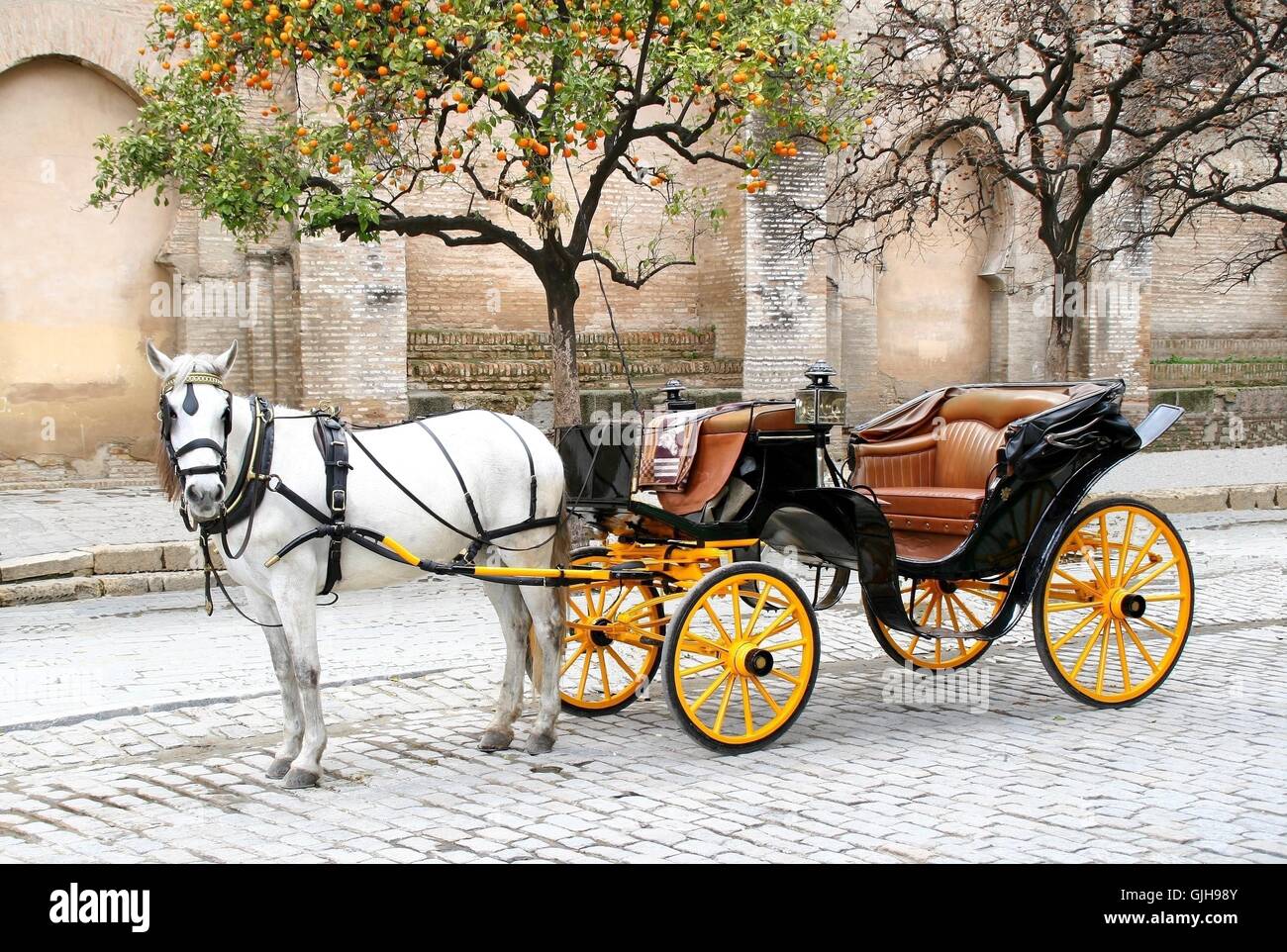 Fiacre hi-res stock photography and images - Alamy
