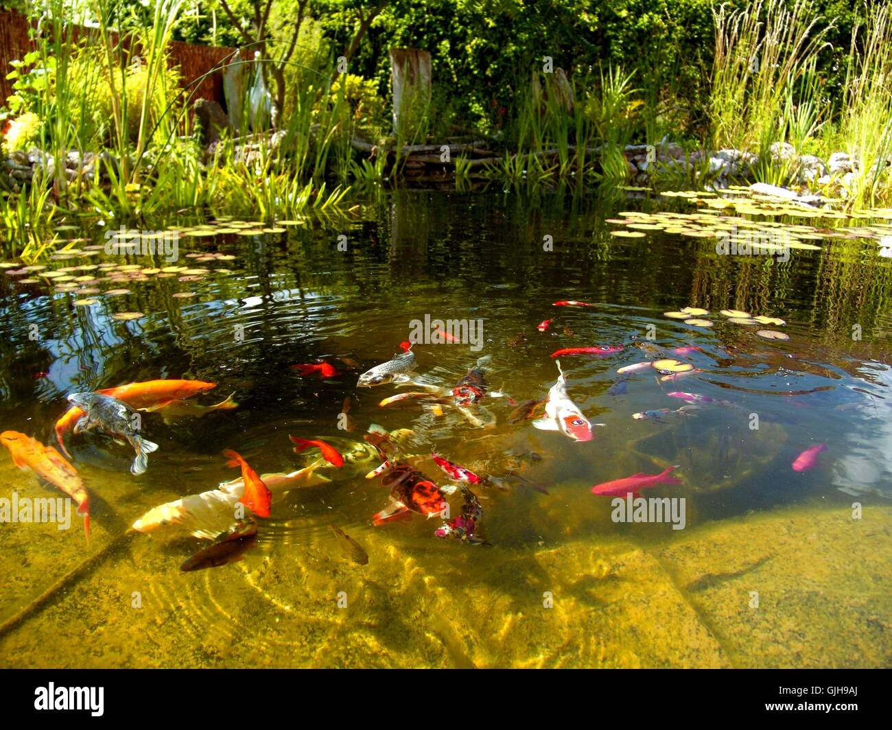 living in the countryside 8 Stock Photo - Alamy
