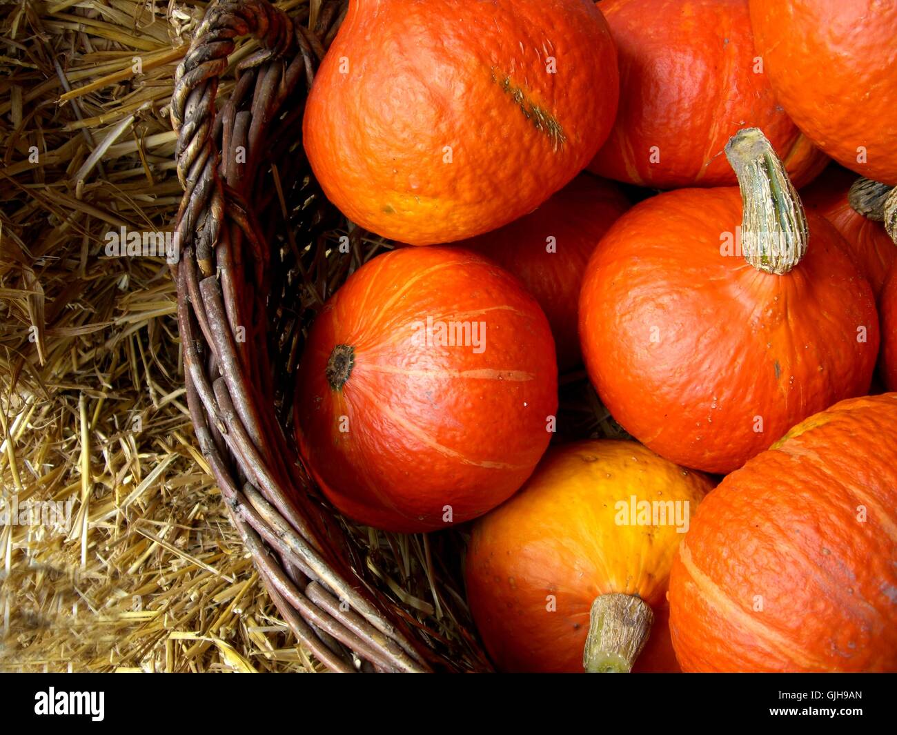agriculture farming basket Stock Photo - Alamy