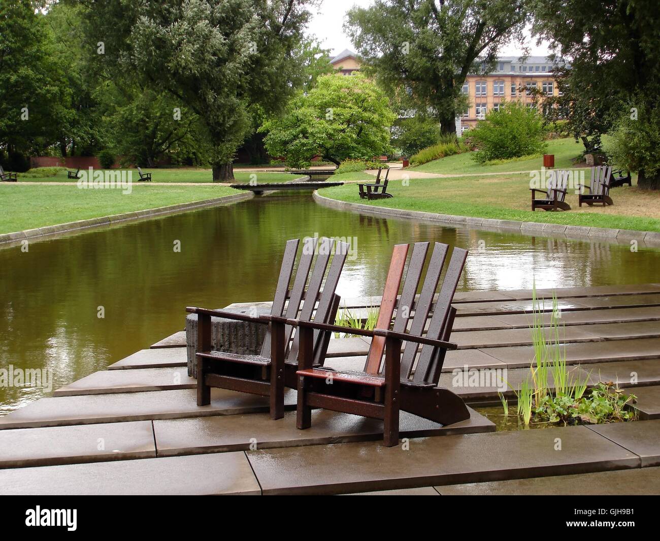 tree trees park Stock Photo - Alamy