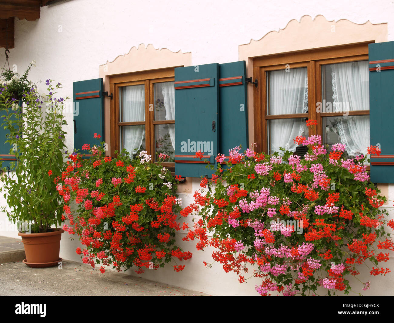 window with flowers Stock Photo - Alamy