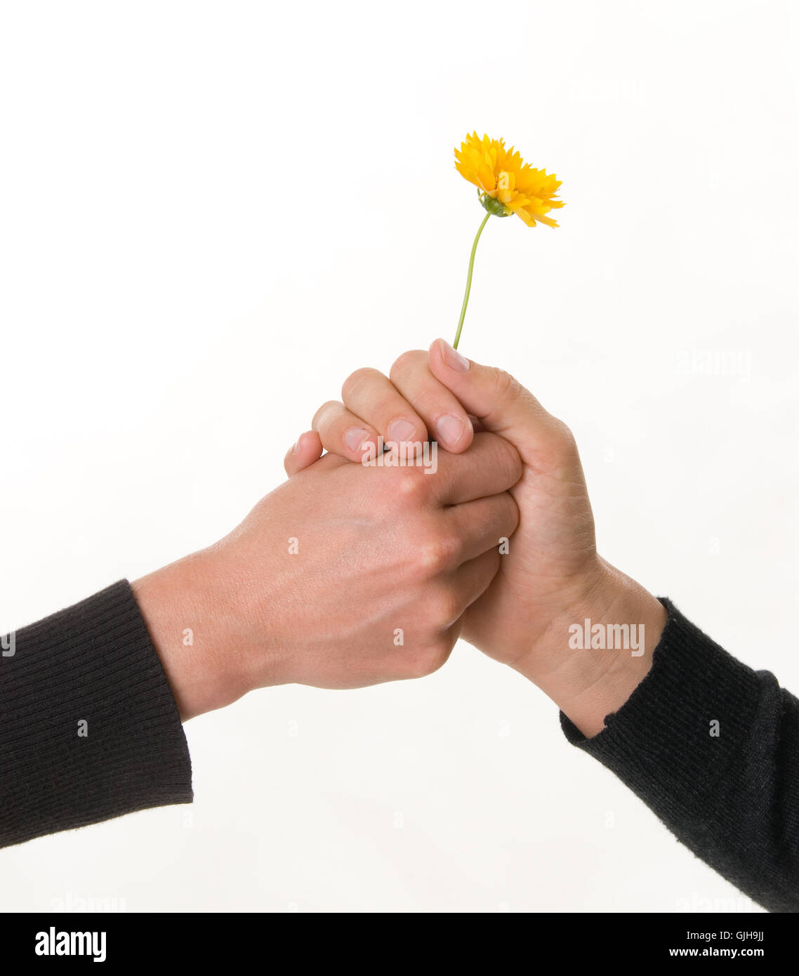 woman committal women Stock Photo - Alamy