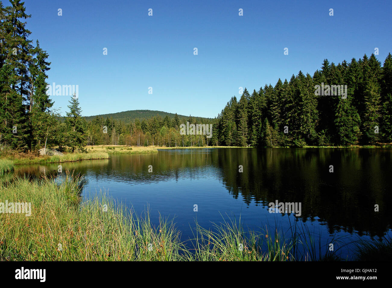 resting on the lake Stock Photo - Alamy