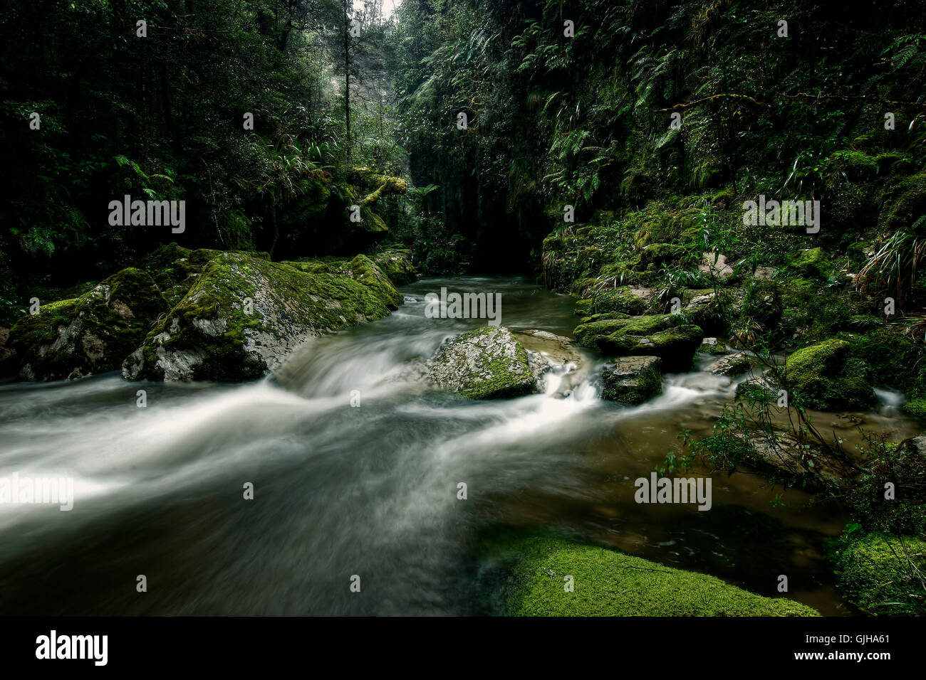 new zealand bach Stock Photo - Alamy