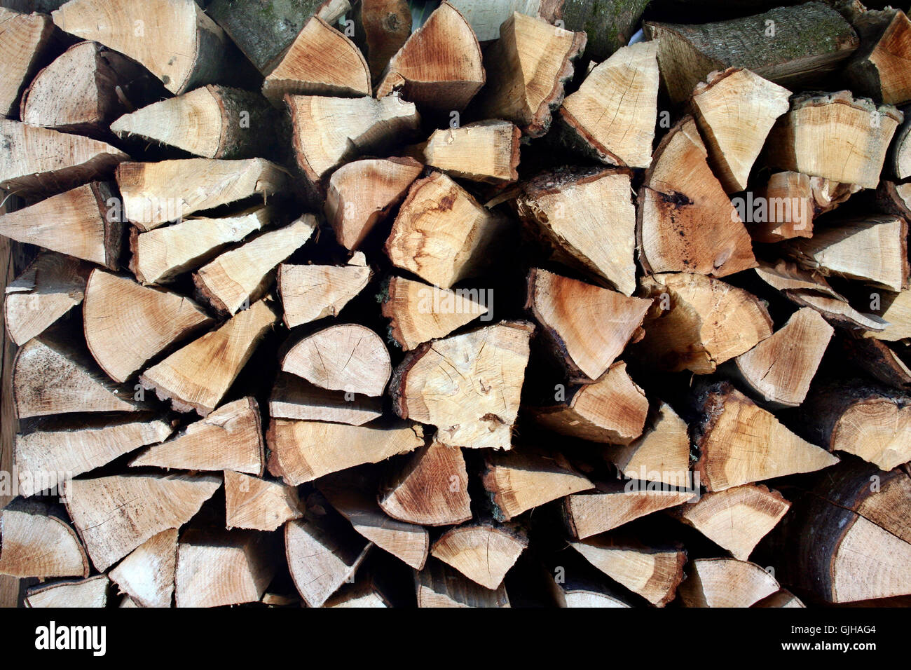 Collecting winter stock hi-res stock photography and images - Alamy